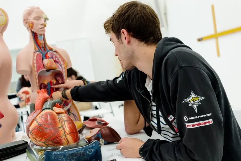 El grado en Fisioterapia Ianza el concurso para centros educativos ...